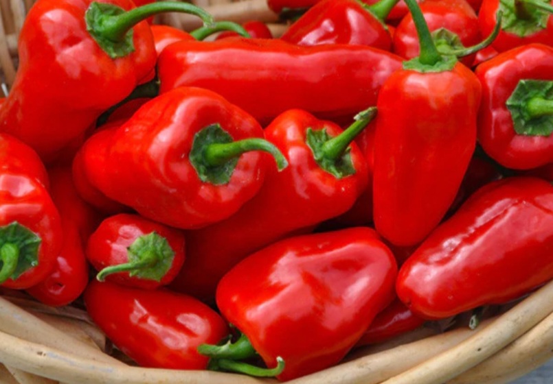 Peppers – PEI Seed Alliance